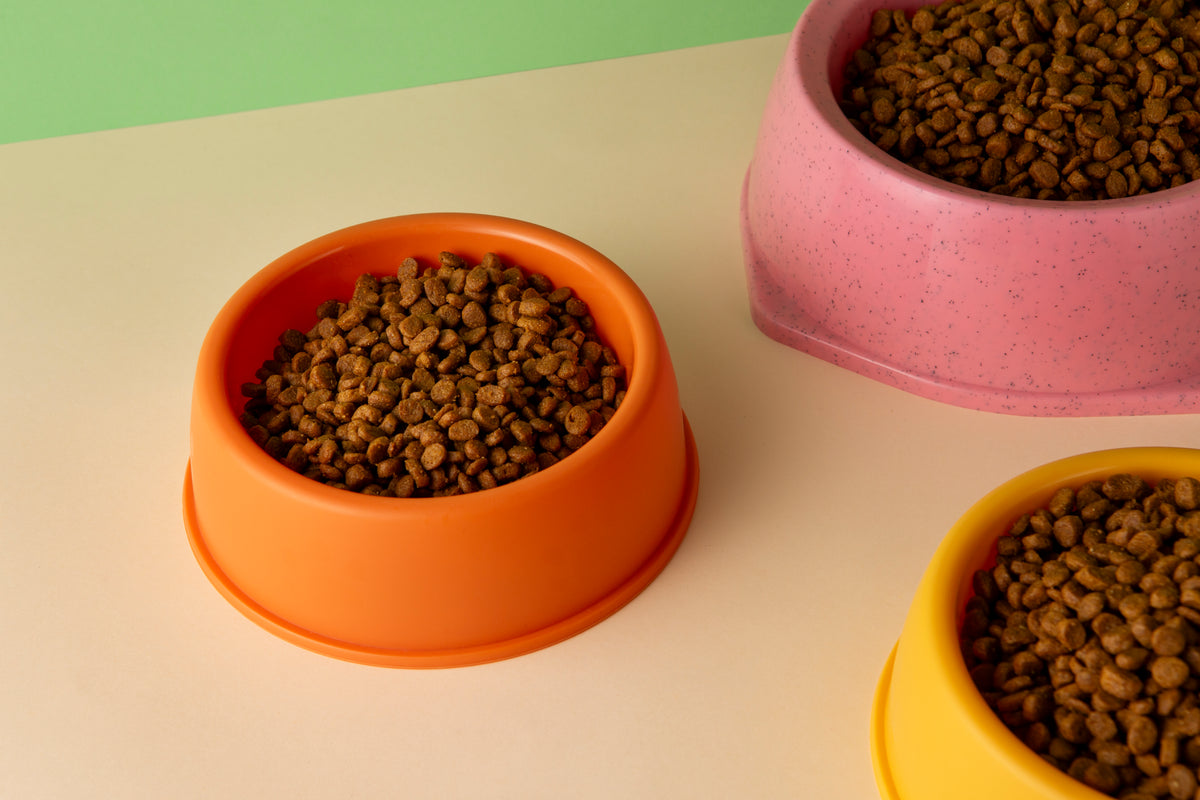 How to Choose the Best Pet Bowls? – KOSTON